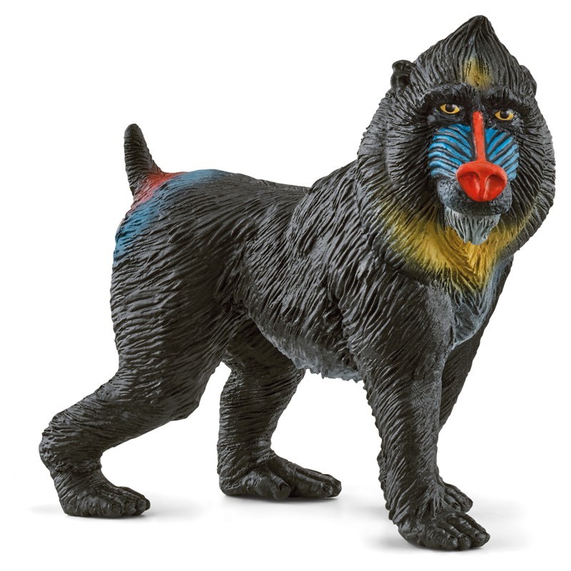 Mandrillo (Wild Life - Price Grey) di Schleich Wild Life