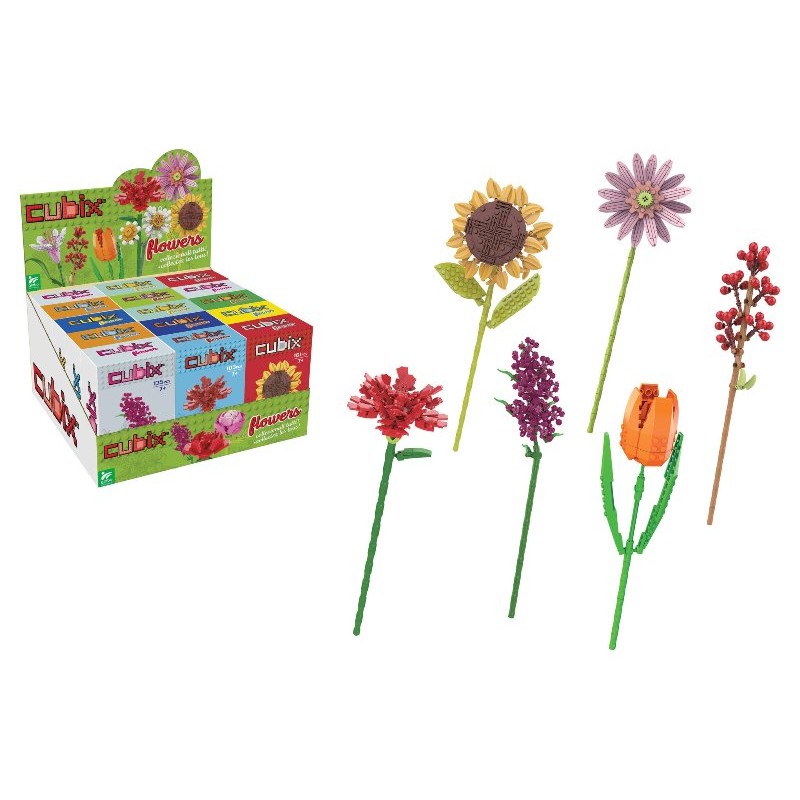 Cubix Fiori 10 Ass 15pz D/B di Globo